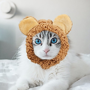 YAODHAOD Plush Bunny Ears Pet Headband, Soft Comfortable Cat Hat with Bear Ears Headwear Cosplay Dress up Accessories Pet Halloween Party Costume for Cats & Small Dogs (Cute Bear Hat)