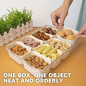 HRXFOZ Divided Serving Tray with Lid and Handle,8 Compartments Snacks Box,Snack Fruit Tray,Veggie Tray,Portable Snack Platter for Candy Fruits Nuts Snack Party Entertaining Picnic (1 PCS)