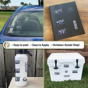 Desert Cactus University of California Berkeley Sticker Vinyl Decal Laptop Water Bottle Car Scrapbook Sheet (Family Full Sheet)