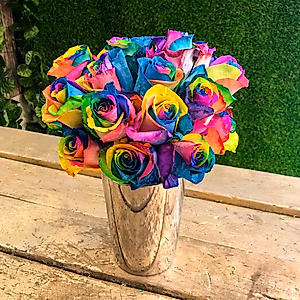 SeedCoast Rainbow Rose Seeds for Planting - Rare Rose Bushes Ready to Plant Outdoor Home Garden - Heirloom Perennial Climbing Rose Flower Bulk of 100 Seeds