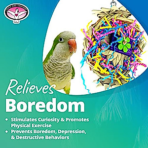 Super Bird Creations SB611, Beakwhich Bird Toy, Medium Bird Size, 9" x 5" x 4"