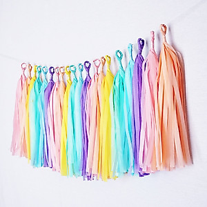 Tissue Paper Tassel DIY Party Garland Decor for All Events & Occasions - 20 Tassels Per Package (Rainbow Pastel)