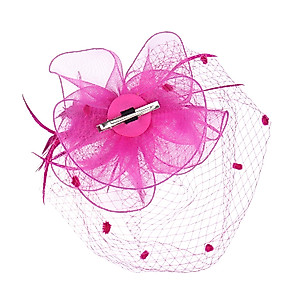FELIZHOUSE Kentucky Derby Fascinators for Women Girls Tea Party Hats Cocktail Flower Veil Feathers Headband with Hair Clip