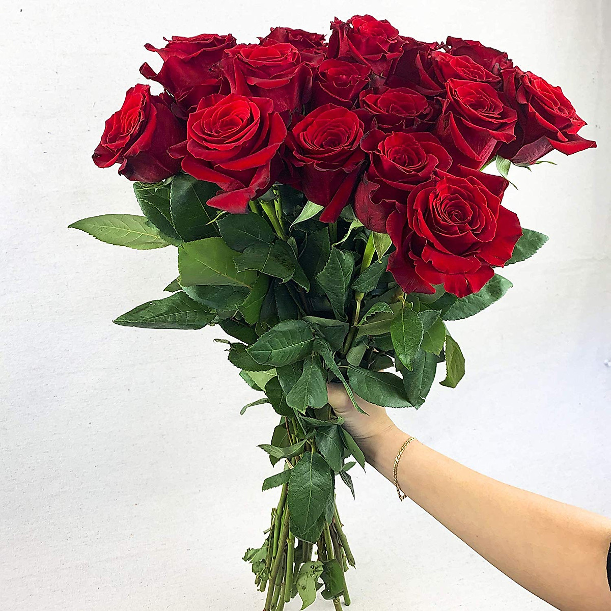Fresh Cut 24 Red Roses - Fresh from the Farm Red Rose Bouquet – Hand-Selected Long-Lasting, Gift and Home Decor Perfect Fresh Flowers |20" Long Stems No Vase-2 Dozen | Flowers Gift