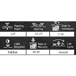 Mexican Sunflower Seeds for Planting – Plant & Grow Heirloom Mexican Sunflowers in Home Outdoor Garden – Planting Instructions for Vibrant Blooms – Great Gardening Gift, 1 Packet