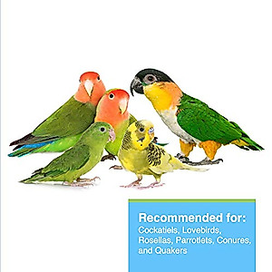 HARI Tropican Bird Food, Hagen Parrot Food with Peanuts & Sunflower Seeds, Maintenance Parrot Granules 2 mm, Lifetime Formula, 1.8 lb Bag