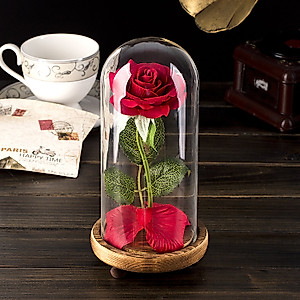 "Beauty and the Beast" Rose Kit, Red Silk Rose and Led Light with Fallen Petals in Glass Dome on Wooden Base for Home Decor Holiday Party Wedding Anniversary