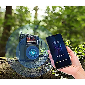 Raddy RF750 Portable Shortwave Radio AM/FM/SW/WB Receiver with Bluetooth and NOAA Alerts - Pocket Retro Mini Radio Rechargeable, w/ 9.85 Ft Wire Antenna