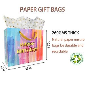 AMROSE 13'' Large Birthday Gift Bags with Card and Tissue Paper, Recyclable Paper Gift Bag for Birthdays and More, Macaron