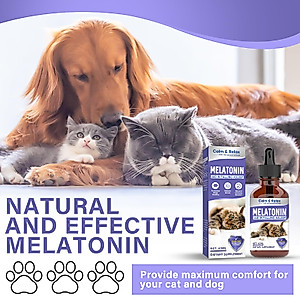 Atrilly Cat Melatonin, Melatonin for Cats, Natural Cat Calming Drops, Anxiety & Stress Relief, Promote Relaxation & Deep Sleep for Cat & Dog, 60ml, Purple