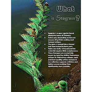 The Acacia Store 100% Natural Square Seagrass Laundry Hamper with 2 100% Cotton Laundry Bags, Foldable with 4 legs made from Bamboo, 2 handles, made in Vietnam, 16 x 16 x 24 inches