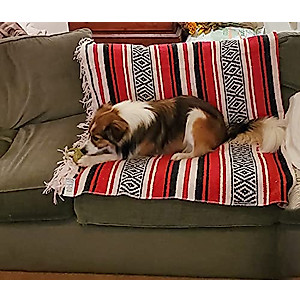 $averPak InsectGuard Permethrin Mosquitoes, Ticks and Flies Repellent & Insecticide Spray for Pet Dog Horse Blanket Bed Kennal Stabels & More - Gallon (128oz)