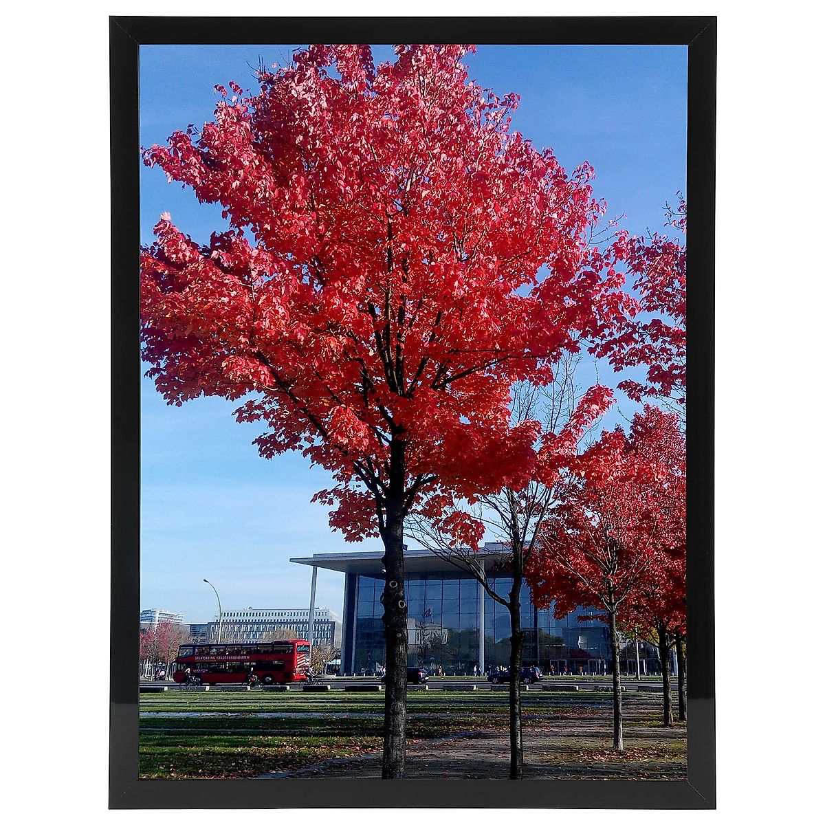 Medog 11x14 Document Frame, Diploma Certificate Frame, Display Pictures 11x14 Picture Frame Black, 2 Pack