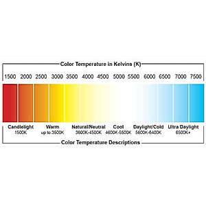 LEDVANCE FP54/850/HO/ECO 54 Watt T5 HO High Output Fluorescent Tube Light Bulb 54W 5000K (Pack of 12) Replaces F54T5 F54T5/HO F54T5/HO/850 F54W/T5/850/ECO F54T5/850/HO/ALTO FP54/850/HO/XL/ECO