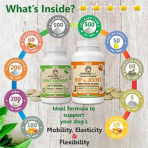 Hip and Joint Supplement for Dogs with Chondroitin, Collagen for Dogs, Turmeric, Boswellia, Dog Glucosamine for Dogs & MSM - Dog Arthritis Supplement. Extend Dog Joint Supplement Large Breed and Small