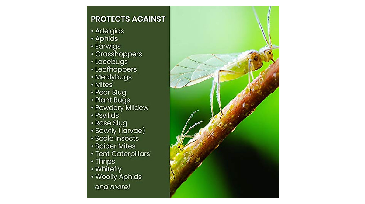 Natria Insecticidal Soap - Fast Acting 1 Gallon