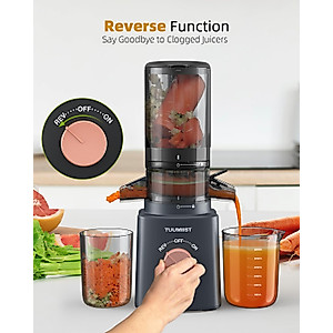 Juicer Machines, TUUMIIST Cold Press Juicer with 4.25'' Large Feed Chute Fit Whole Vegetable And Fruit, Masticating Juicer Easy To Clean, Gun Grey