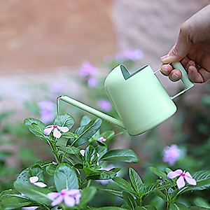 YISSSN Mini Bonsai Watering Can for Indoor Plants Stainless Steel, 10oz/300ml (Green)