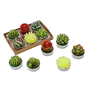 LJQizn 12pcs Cactus Tealight Candles Handmade Delicate Succulent Cactus Candles Tea Lights Perfect for Birthday Party Wedding Spa Home Decor Gifts (12pcs Cactus Candles)