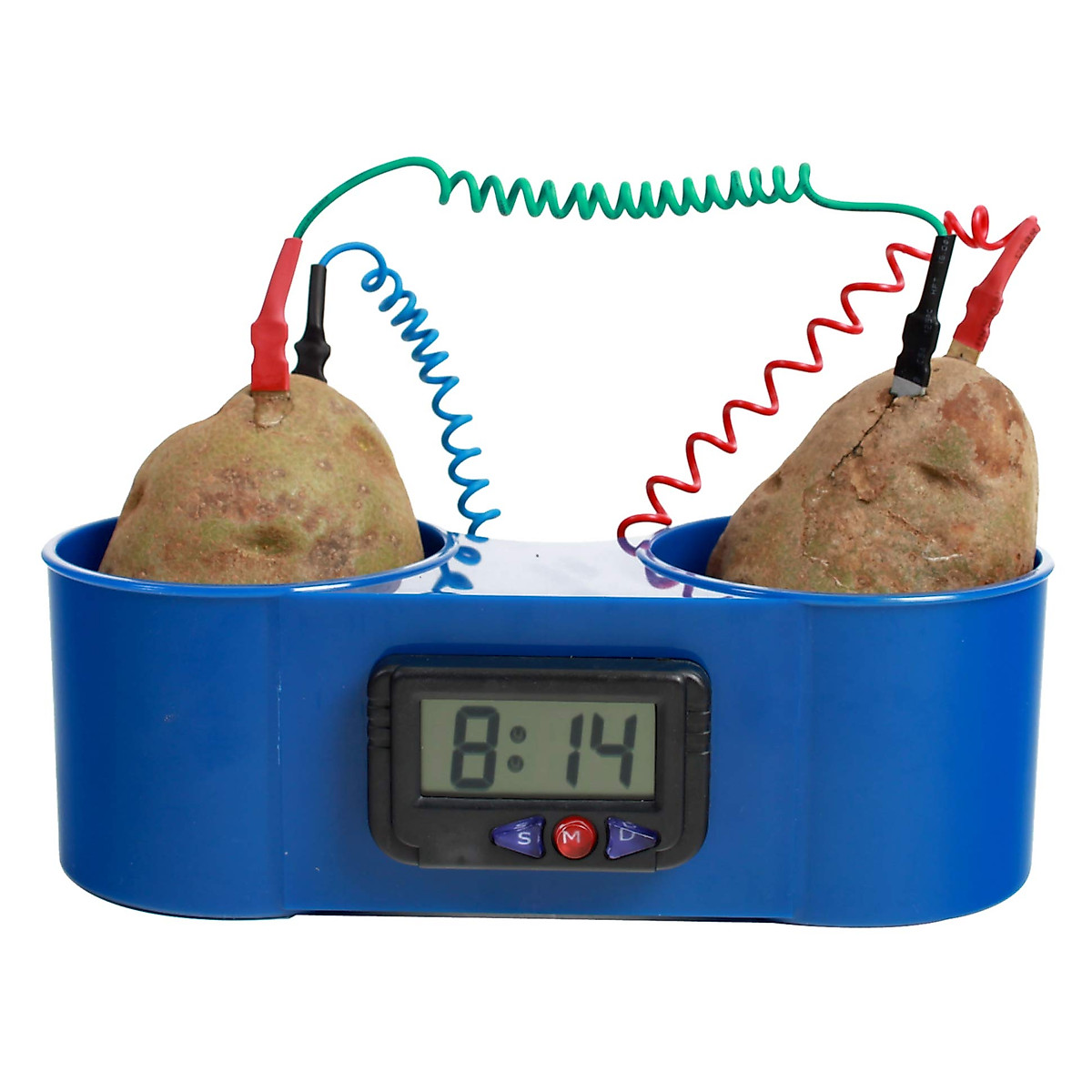 American Educational Blue Plastic Two Potato Clock, 8-1/2" Length x 3-1/2" Width x 2-3/4" Height