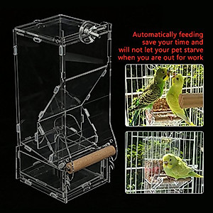 Bird Automatic Food Feeder, 1Pc Acrylic Transparent Parrot Integrated Automatic Feeder Automatic Bird Seed Feeder for Small to Medium Birds(M Single Type)