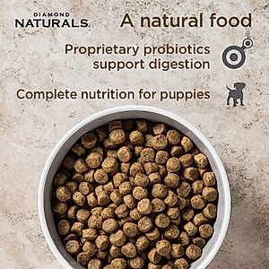 Diamond Naturals Large Breed Dry Puppy Food Real Lamb and Rice Protein, Probiotics, Superfoods, Antioxidants and Other Premium Ingredients to Support Health in Growing Puppies 20lb