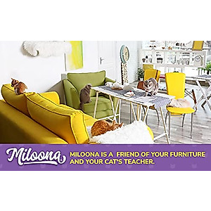 Cat Anti Scratch Furniture/Couch Protector from Cats Scratching - Couch Scratch Protector - Cat Training Tape - Scratch Guard