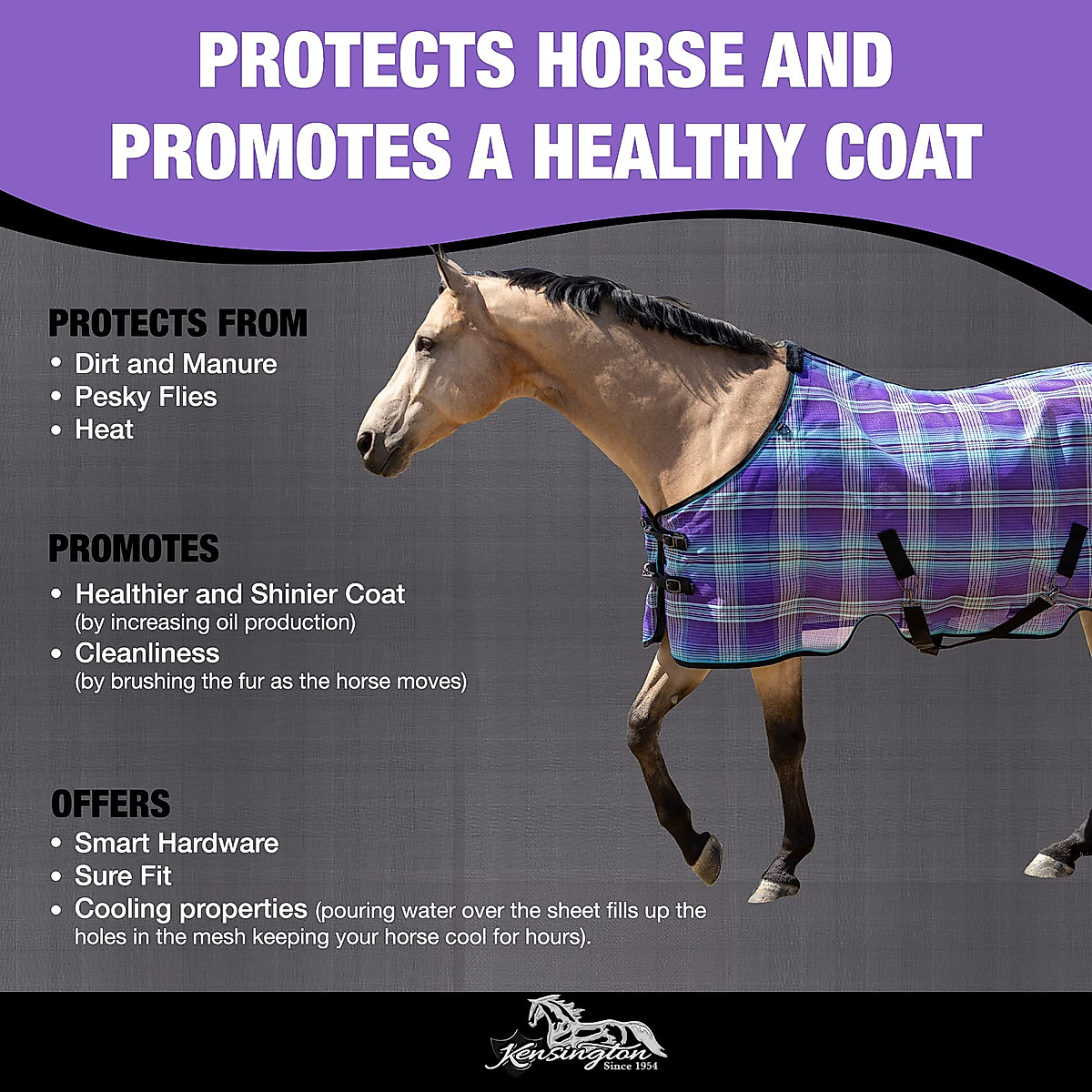 Kensington Breathable and UV Protective Sheet SureFit All Season Protection for Horse - 81", Lavender Mint