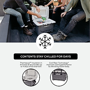 Igloo 24 Qt Gray IMX