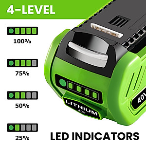 2 Pack 6.0Ah Lithium ion 40 Volt 29472 29462 Battery Replacement for Greenworks 40V Battery Compatible with Greenworks 29252 20202 22262 25312 25322 20642 22272 27062 21242 Cordless Power Tools(Green)