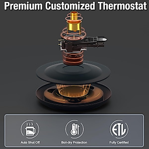 Dezin Electric Kettle, 2L Electric Water Heater, Glass Electric Tea Kettle, 304 Stainless Steel Hot Water Kettle Warmer with Fast Boil, Auto Shut-Off & Boil Dry Protection, for Coffee, Tea