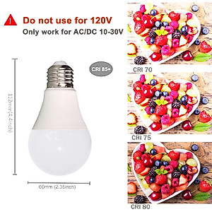 KAKEMONO 12V LED Light Bulb 7W AC/DC10-30V Low Voltage E26 Base 2700K Warm White,60watt A19 Bulbs Equivalent,Landscape RV Camper Marine Boat,12volt Battery Power System Off Grid Solar Lighting,2Pack