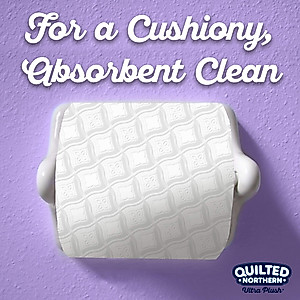 Quilted Northern Ultra Plush Toilet Paper, Double Rolls, 12 Count of 176 3-Ply Sheets Per Roll, 12 Count (Pack of 1)