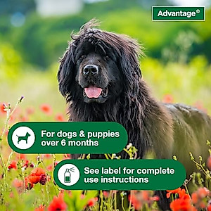Advantage Dog Flea Treatment Spray | Kills Fleas & Ticks | Dog Flea Spray | 8 oz.