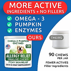 Allergy Relief + Probiotics & Digestive Enzymes for Dog - Allergies & Itchy Skin + Gut Health - Pet Diarrhea Gas Treatment, Upset Stomach Relief Pills, Digestion Health Prebiotic Supplement