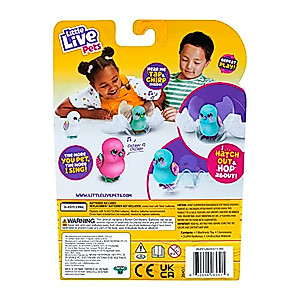Little Live Pets Surprise Chick: Interactive Collectible Toy - Pink Egg