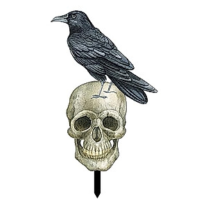 Halloween Yard Sign Crow On Skeleton Head Scary Stakes Yard Decorations Halloween Party Decorations Garden Stakes Decor Yard Signs Yard Art for Patio, Garden, Porch Halloween Party Decor 1 Pack