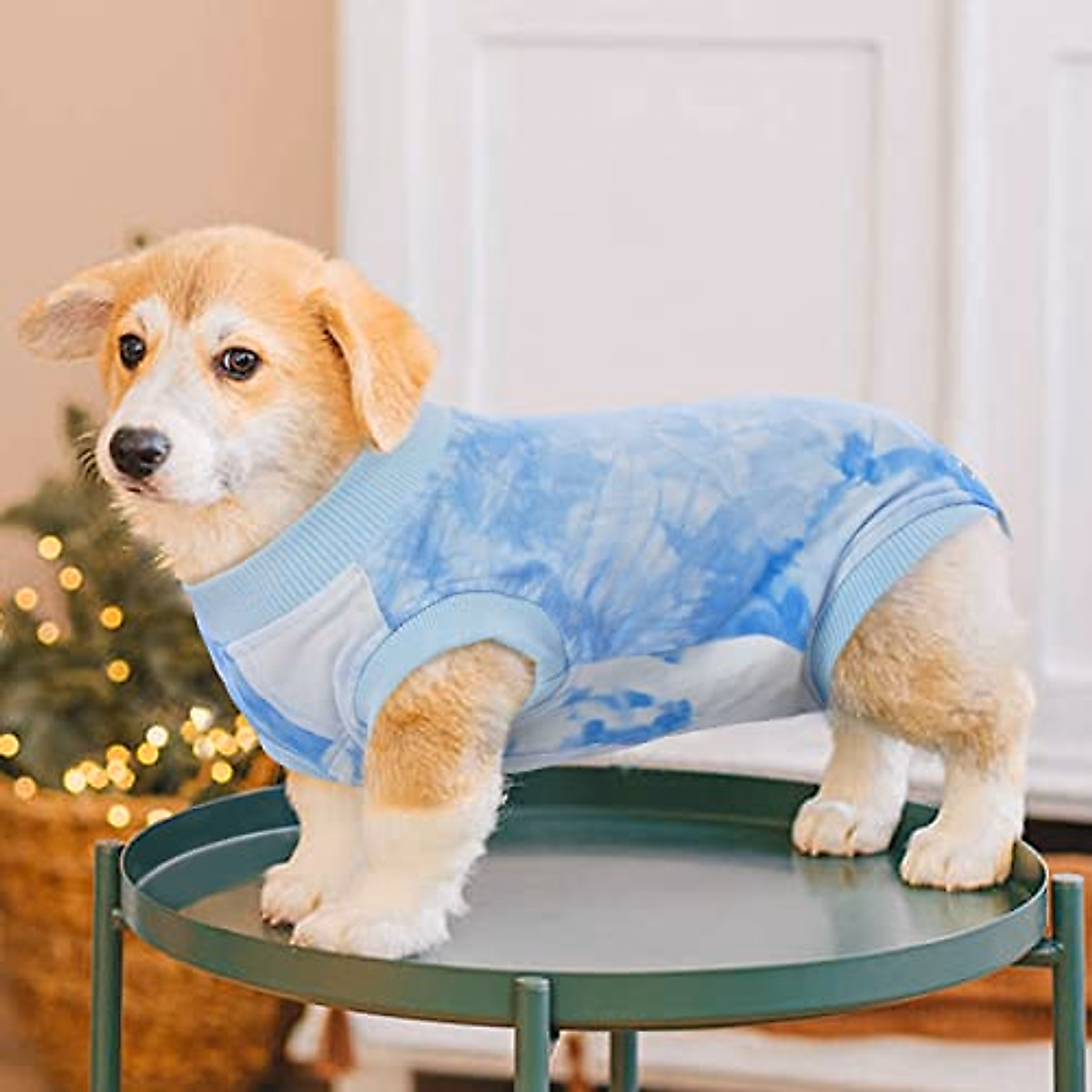BRKURLEG Dog Recovery Suit Onesie After Surgery,Pet Spayed Neutered Shirt for Female Male Dogs Cats,Surgical Postoperative Snuggly Vest for Abdominal Wounds,Weaning,Anti-Licking Tie Dye Doggy Bodysuit