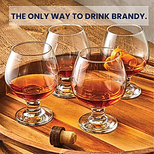 Glacier Glass - Milano Collection (Brandy Glass (13.25 oz) - Set of 4)