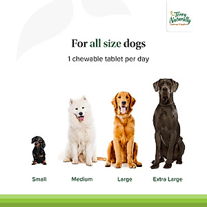 Terry Naturally Animal Health Probiotic Daily - 60 Chewable Tablets - Probiotics for Dogs, Beneficial Intestinal Bacteria to Maintain Healthy Gut Flora & Digestion - Canine Only - 60 Servings