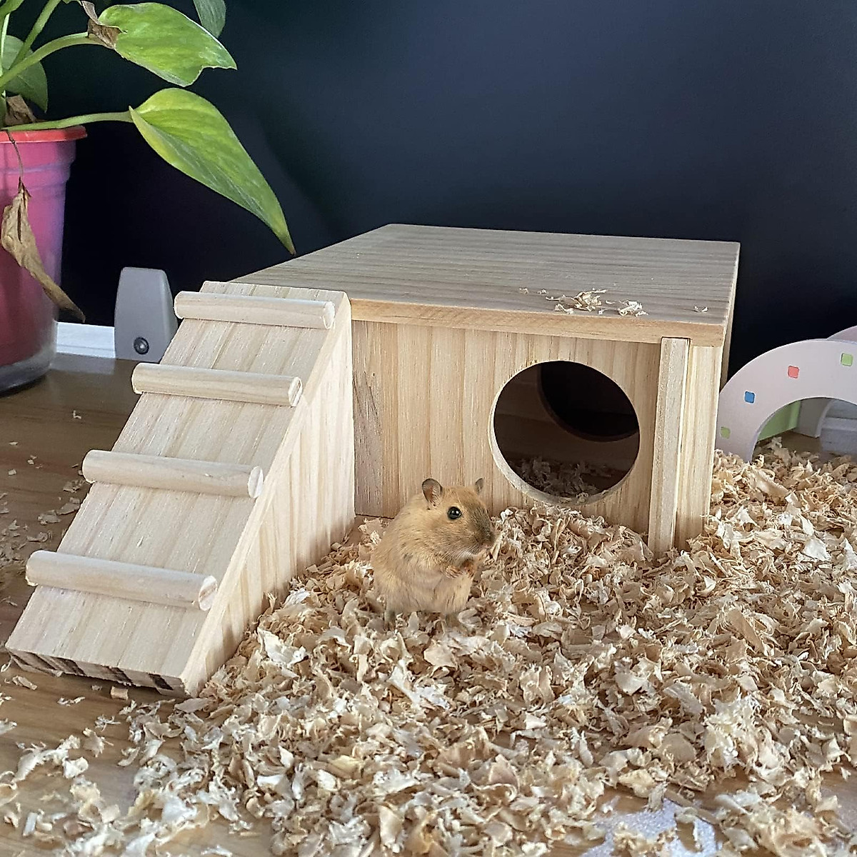 Hamster Wooden House with Ladder Small Animal Hideout Activity Platform Exercise Climbing Hut Natural Living Wood Room for Hamster Gerbil Mice Rat.