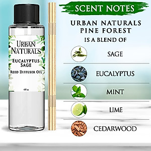 Urban Naturals Eucalyptus & Sage Oil Reed Diffuser Refill | Eucalyptus, Sage, Mint, Lime and Cedarwood| includes a Free Set of Reed Sticks! 4 oz