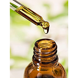 Carlyle Organic Oil of Oregano | 2 fl oz Liquid | Vegan, USDA Certified | Non-GMO, Gluten Free Drops