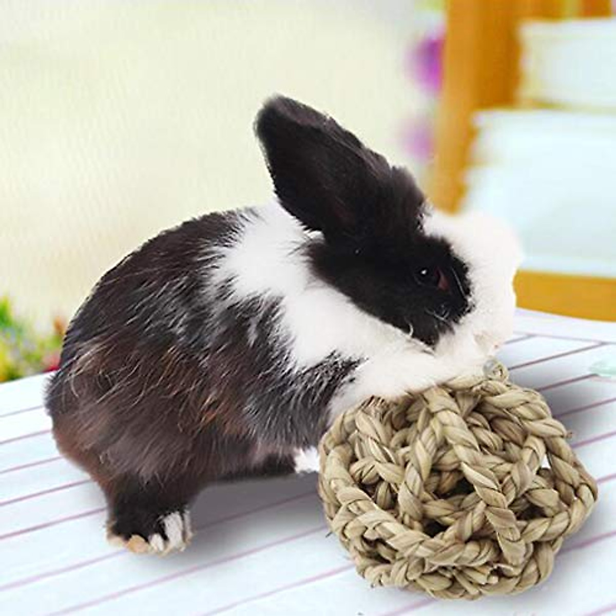 Dolland Bird Ball Toy Round Shape Parakeet Chewing Toy Pet Hamster Small Pet Playing Cage Part Toy