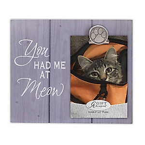 Esselte Abbey & CA Gift Cat Frame-You Had Me at Meow, One Size, Multicolored