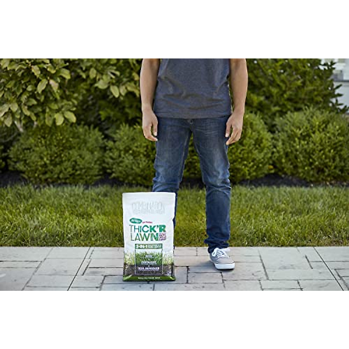 Scotts Turf Builder Thick'R Lawn Tall Fescue Mix: Seed, Fertilizer, Soil Improver, 12 lbs., 2-Pack