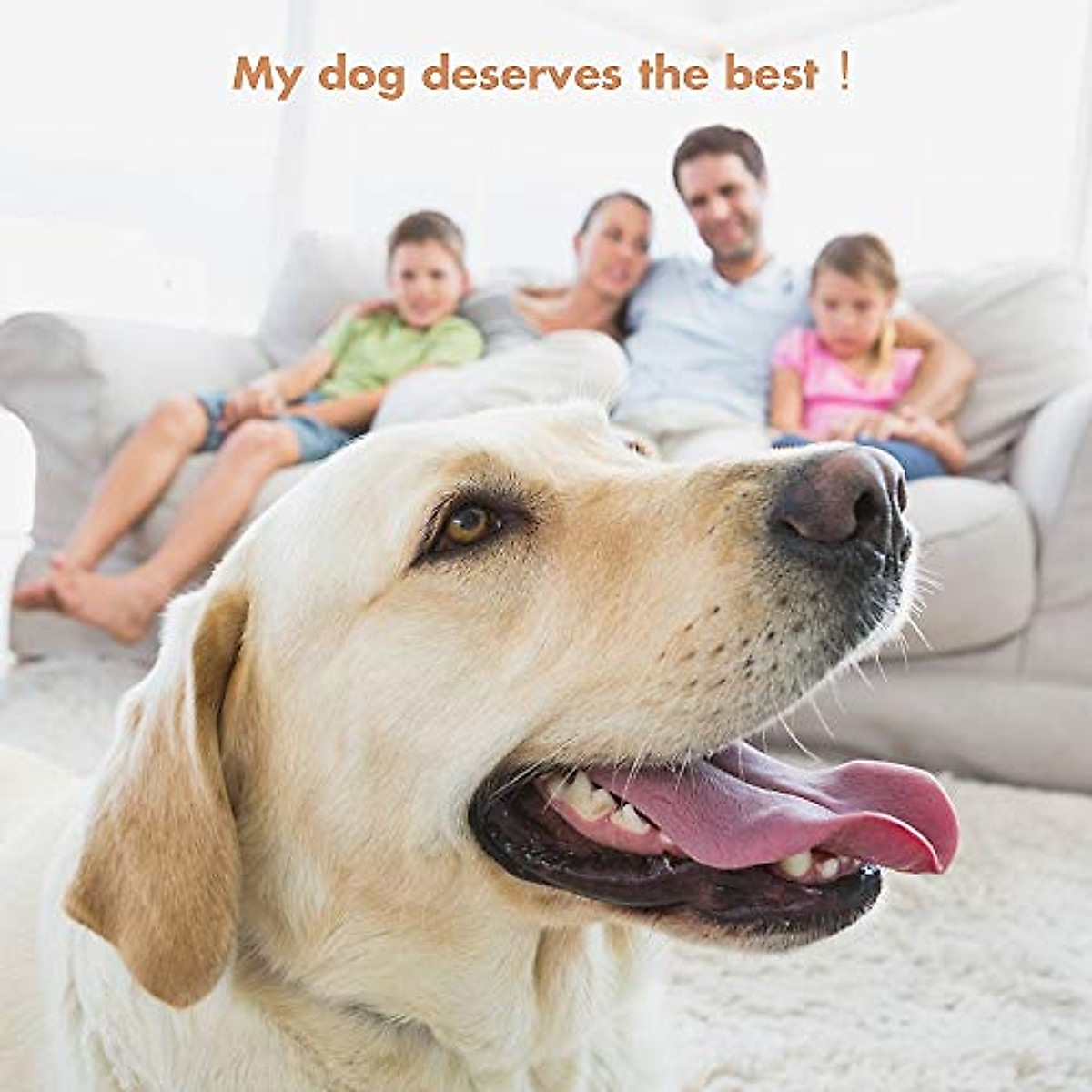 GLADOG 6 Inch Professional Large Cotton Buds for Dogs, Specially Designed Dog Cotton Buds with Wood Handle, Large Means Safe