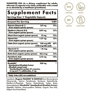 Solgar Daily Stress Support, 30 Vegetable Capsules – Build Resistance to Stress & Mental Fatigue – Support Ability to Stay Calm – Contains Clinically-Studied Rhodiola & B-Complex, Non-GMO, 30 servings