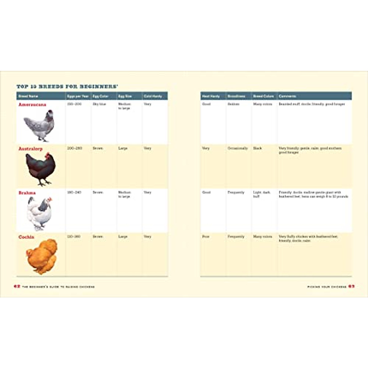 The Beginner's Guide to Raising Chickens: How to Raise a Happy Backyard Flock (Raising Chickens Guide)