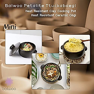 BALWOO Korean Earthenware Pot Ttukbaegi, Ceramic Clay Cooking Pot Petalite Casserole, Heat Resistant Ceramic Pot, Zero-Crack Stone Bowl Stockpot Soup Cookware (Mini)